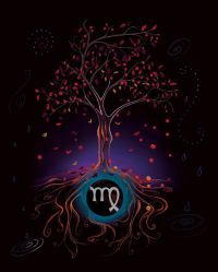 New Moon Meditation - Virgo – Tracy Holloway